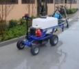 Zallys Jespi / Jespi L Elektro-Kommissionierwagen | Divaco Elektrofahrzeuge